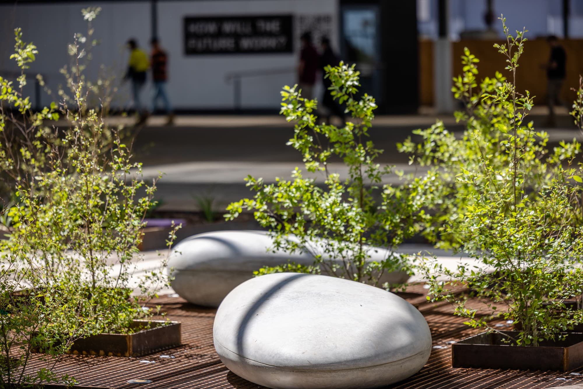 Tonsley drives towards a greener future with new MAB forest - Tonsley